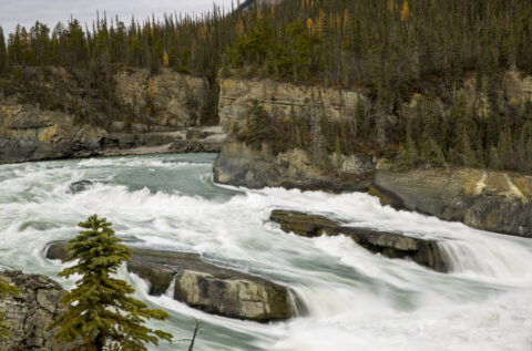 Canada Commits CAD$800 million to Advance Indigenous-led Conservation ...