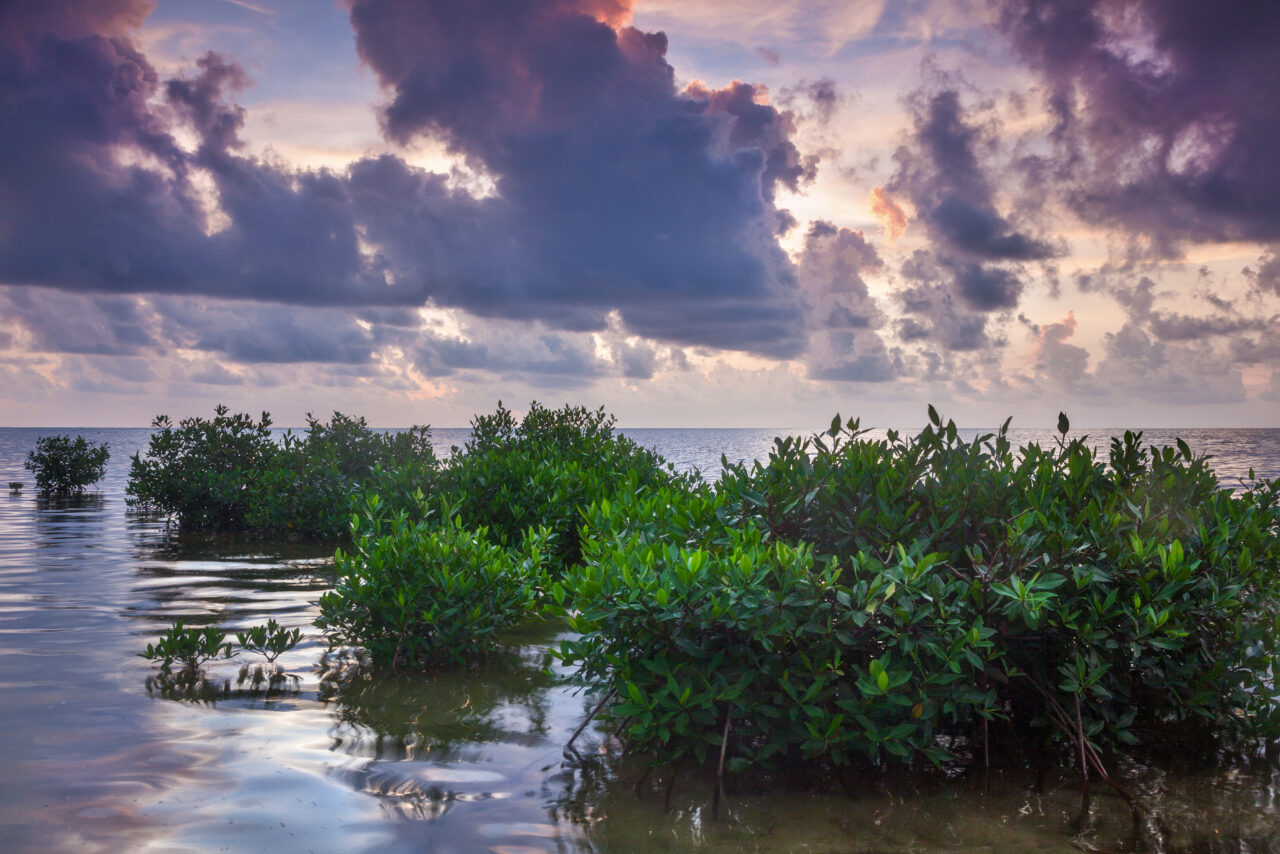 8 Examples of How Unlocking Sustainable Financing Benefits Nature and ...