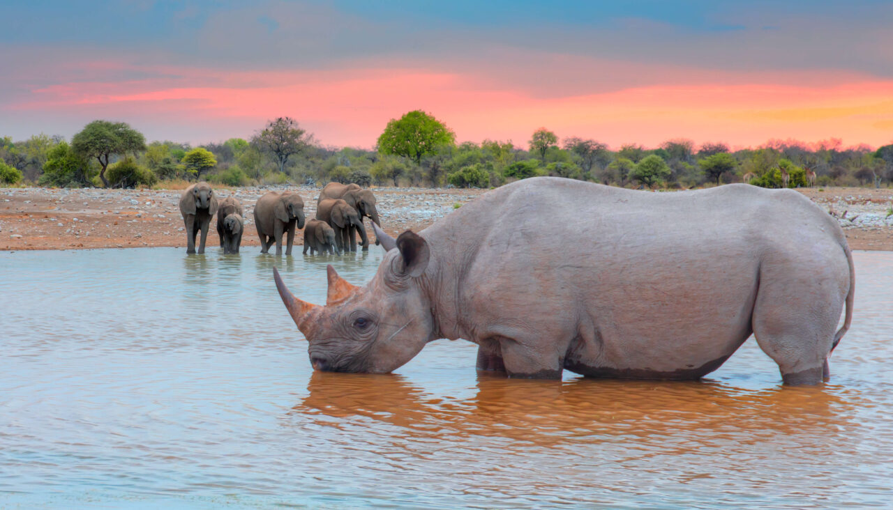 8 Examples of How Unlocking Sustainable Financing Benefits Nature and ...