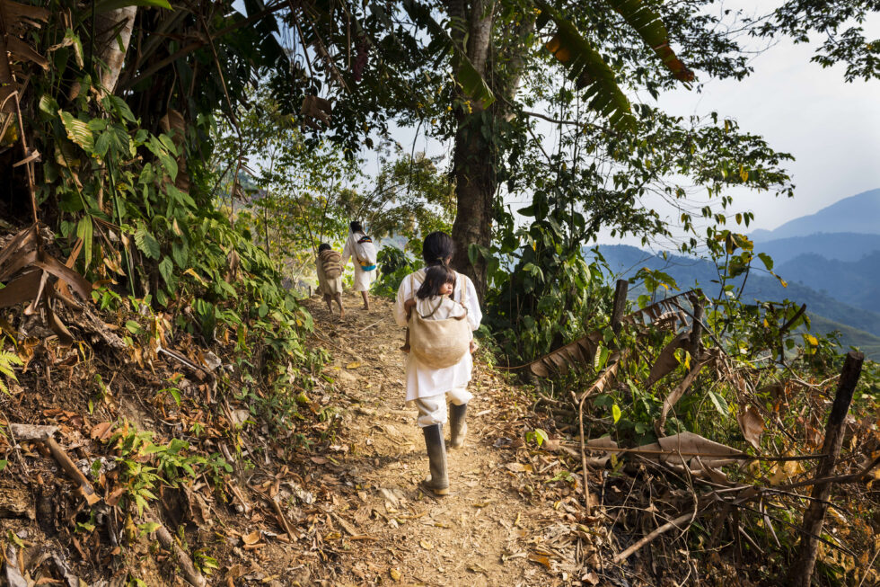 Celebrating International Day of Forests: Recognizing Forests as ...